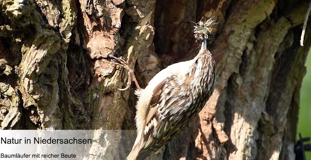 Alfred Toepfer Akademie für Naturschutz