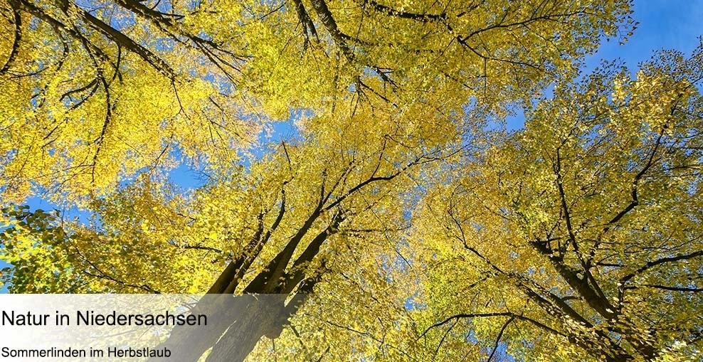 Alfred Toepfer Akademie für Naturschutz