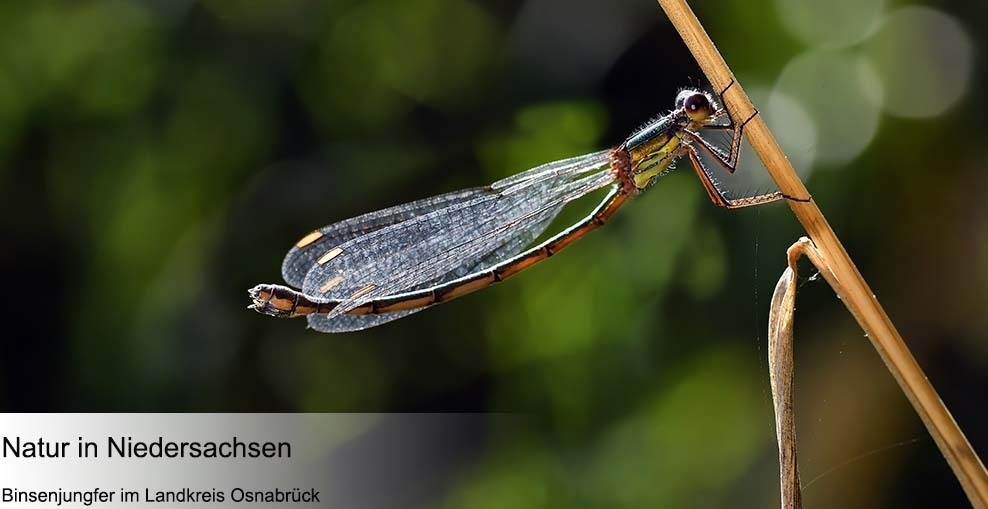 Alfred Toepfer Akademie für Naturschutz